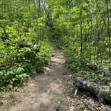 Indian Point Trail, Illinois - 1,632 Reviews, Map | AllTrails