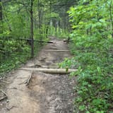 Indian Point Trail, Illinois - 1,632 Reviews, Map | AllTrails