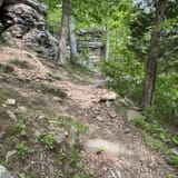 Indian Point Trail, Illinois - 1,680 Reviews, Map | AllTrails
