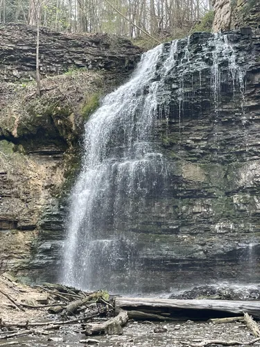 Best Hikes and Trails in McMaster Forest | AllTrails