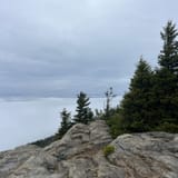 Crane Mountain Loop Hike, New York - 1,341 Reviews, Map | AllTrails