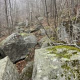 Crane Mountain Loop Hike, New York - 1,306 Reviews, Map | AllTrails