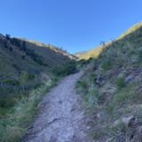 Hunter Creek Trail, Nevada - 4,490 Reviews, Map | AllTrails