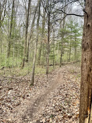 Best Bird Watching Trails in Brighton State Recreation Area | AllTrails