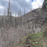 Red Lake Trail, Utah - 222 Reviews, Map | AllTrails