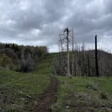 Red Lake Trail, Utah - 222 Reviews, Map | AllTrails