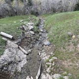 Red Lake Trail, Utah - 222 Reviews, Map | AllTrails