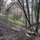 Red Lake Trail, Utah - 294 Reviews, Map | AllTrails