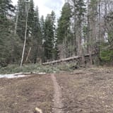 Red Lake Trail, Utah - 222 Reviews, Map | AllTrails