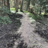 Red Lake Trail, Utah - 294 Reviews, Map | AllTrails