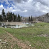 Red Lake Trail, Utah - 276 Reviews, Map | AllTrails