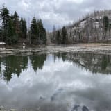 Red Lake Trail, Utah - 294 Reviews, Map | AllTrails