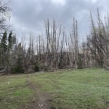 Red Lake Trail, Utah - 230 Reviews, Map | AllTrails