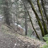 Red Lake Trail, Utah - 230 Reviews, Map | AllTrails