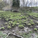 Red Lake Trail, Utah - 294 Reviews, Map | AllTrails