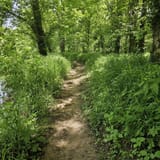 Roubidoux Park, Roy Laughlin Park, and Roubidoux Spring, Missouri - 81 ...