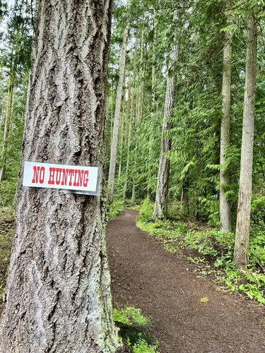 Best Forest Trails in Miller Peninsula State Park | AllTrails