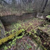 Birch Grove Connector Trail and North Country Trail Loop, Michigan ...