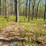 Gambrill State Park Loop, Maryland - 724 Reviews, Map | AllTrails