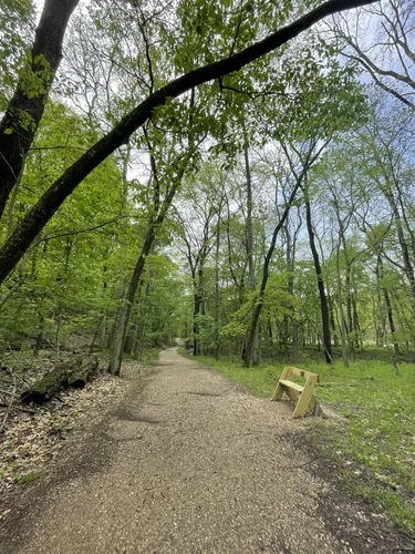 Best Hikes and Trails in Forest Park Nature Preserve | AllTrails