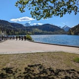 Alpsee Loop, Bavaria, Germany - 290 Reviews, Map | AllTrails