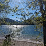 Alpsee Loop, Bavaria, Germany - 290 Reviews, Map | AllTrails