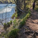 Alpsee Loop, Bavaria, Germany - 290 Reviews, Map | AllTrails