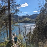 Alpsee Loop, Bavaria, Germany - 290 Reviews, Map | AllTrails