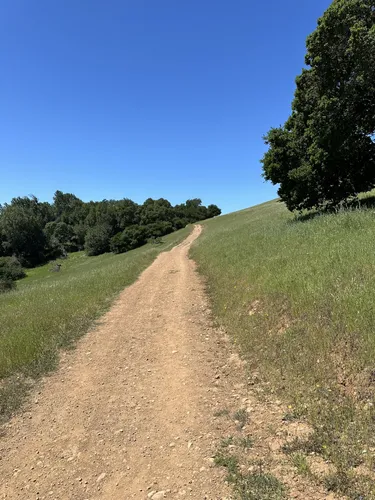 Best Views Trails in Mount Burdell Open Space Preserve | AllTrails