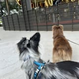 Hermann Park Trail, Texas - 403 Reviews, Map | AllTrails