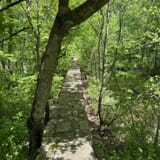 Lake Wedington Hiking Trail, Arkansas - 664 Reviews, Map | AllTrails