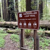 Rockefeller Loop Trail, California - 683 Reviews, Map | AllTrails