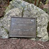 Rockefeller Loop Trail, California - 683 Reviews, Map | AllTrails