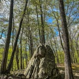 Seneca Rocks Trail, West Virginia - 2,828 Reviews, Map | AllTrails