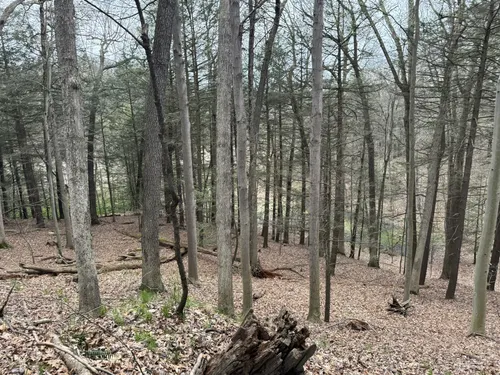 Best Short Trails in Powder Mill Park | AllTrails