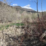 Provo River, Middle, Utah - 198 Reviews, Map | AllTrails