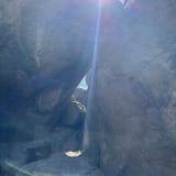 Fatmans Loop Trail, Arizona - 5,199 Reviews, Map | AllTrails