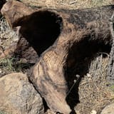 Fatmans Loop Trail, Arizona - 5,184 Reviews, Map | AllTrails