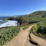 Mori Point Loop Trail, California - 5,037 Reviews, Map | AllTrails