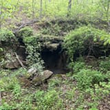 Red Cedar Trail, Illinois - 549 Reviews, Map | AllTrails