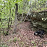 Red Cedar Trail, Illinois - 549 Reviews, Map | AllTrails