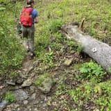 Red Cedar Trail, Illinois - 487 Reviews, Map | AllTrails