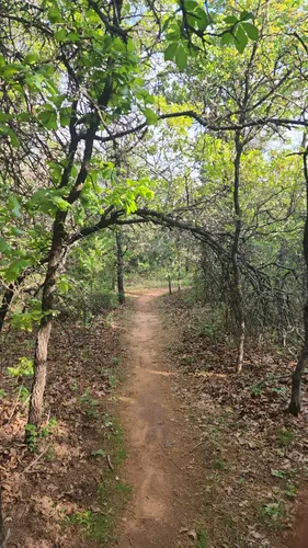 Best Forest Trails in Lake Stanley Draper Mountain Bike Park | AllTrails