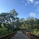 Coastal Anclote Trail, Florida - 239 Reviews, Map | AllTrails