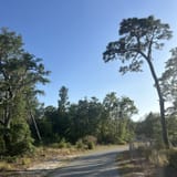 Coastal Anclote Trail, Florida - 239 Reviews, Map | AllTrails