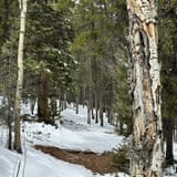 Kenosha Pass North, Colorado - 1,693 Reviews, Map | AllTrails