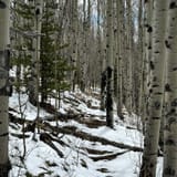 Kenosha Pass North, Colorado - 1,693 Reviews, Map | AllTrails