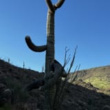 Table Mesa OHV Road, Arizona - 180 Reviews, Map | AllTrails