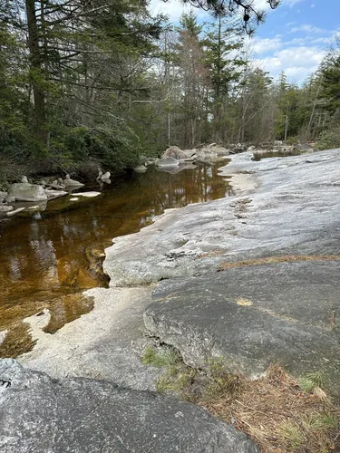 Best Wild Flowers Trails in Pine Bush | AllTrails