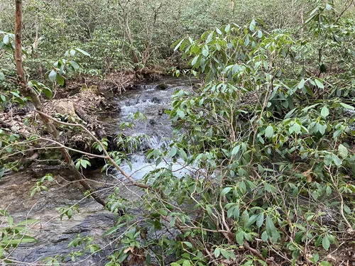 Best Hikes and Trails in Rockton | AllTrails